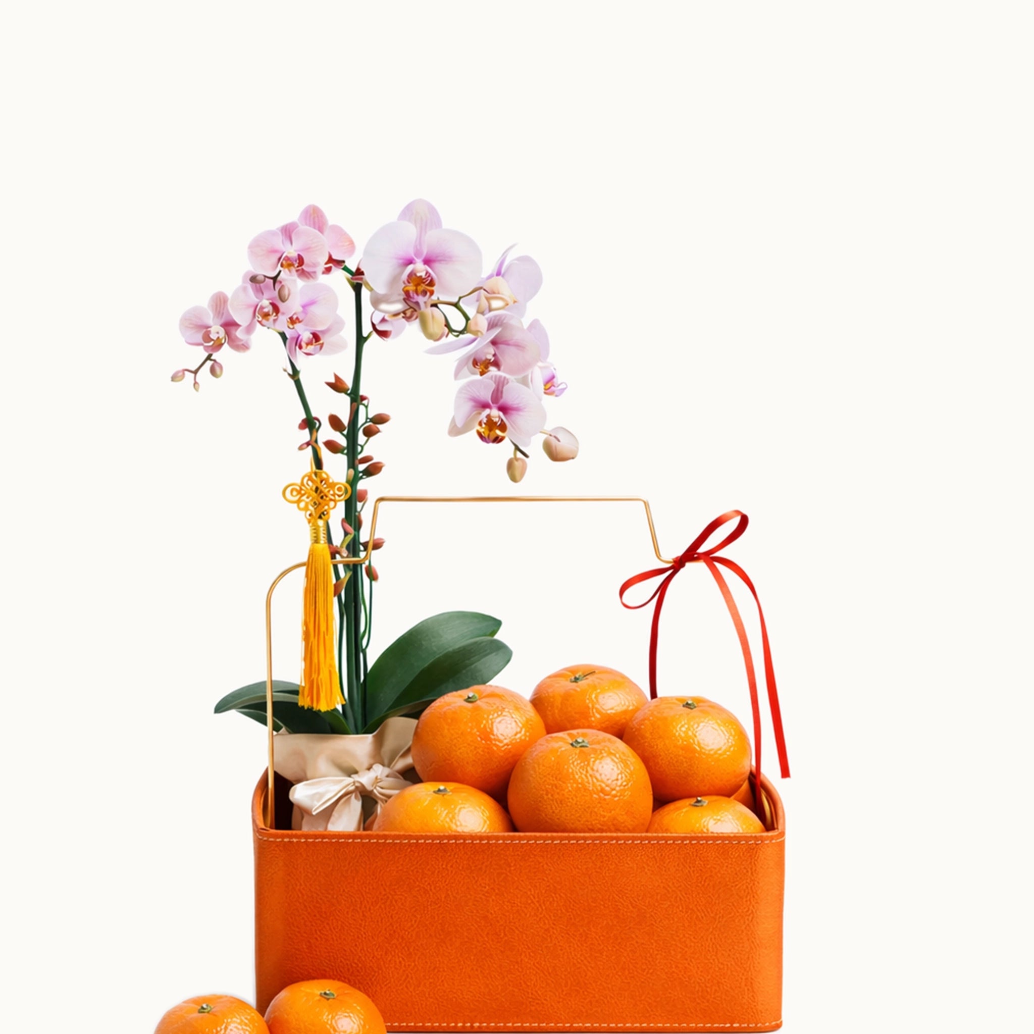🌺 Orchids of Fortune & Mandarin Fruit Box | Rén Gifts to China